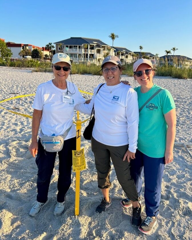 SCCF: First sea turtle nest of season recorded - SANIBEL-CAPTIVA ...